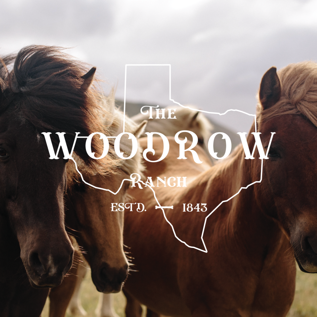 TEXAS RANCH LOGO DESIGN - Elizabeth Sosa Boutique Creative Company